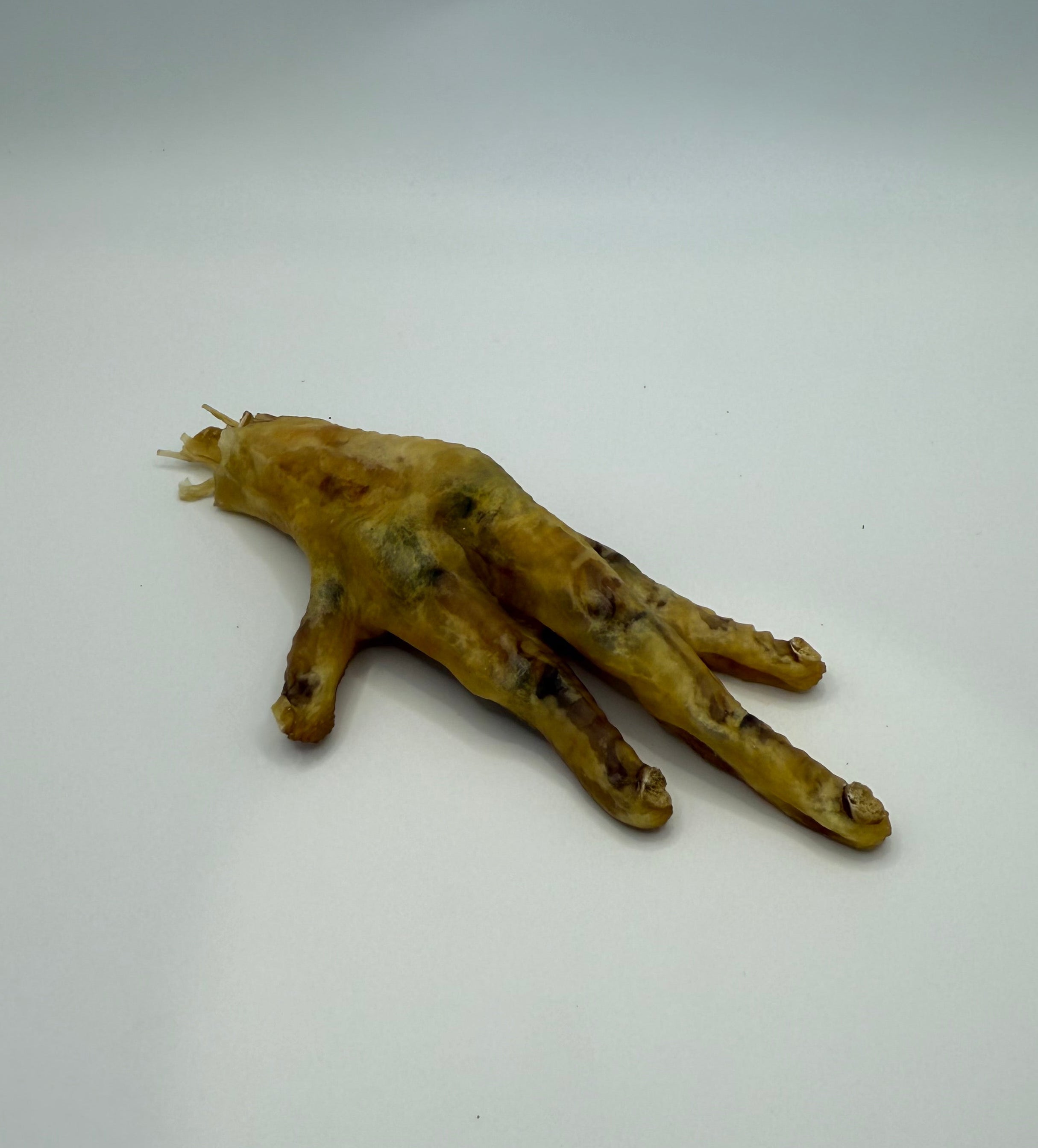 Celestial Chicken Claw – Starry Snacks